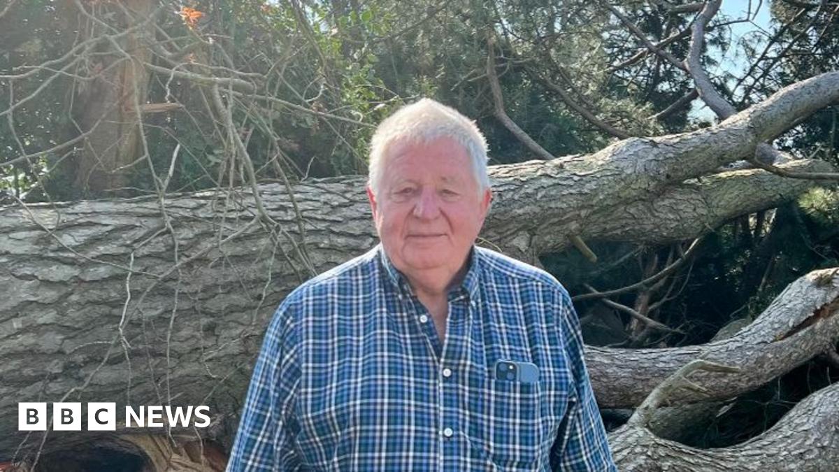 Wolverhampton neighbour wants answers over rugby club's fallen tree ...