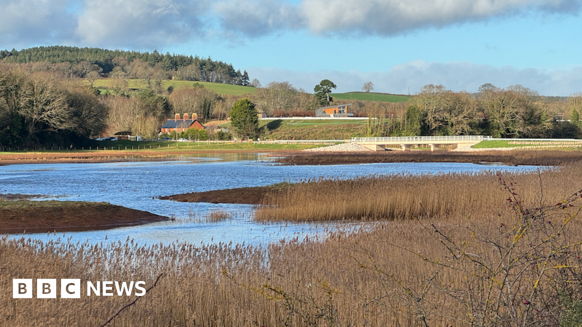 Devon environmental scheme wins government funding - BBC News