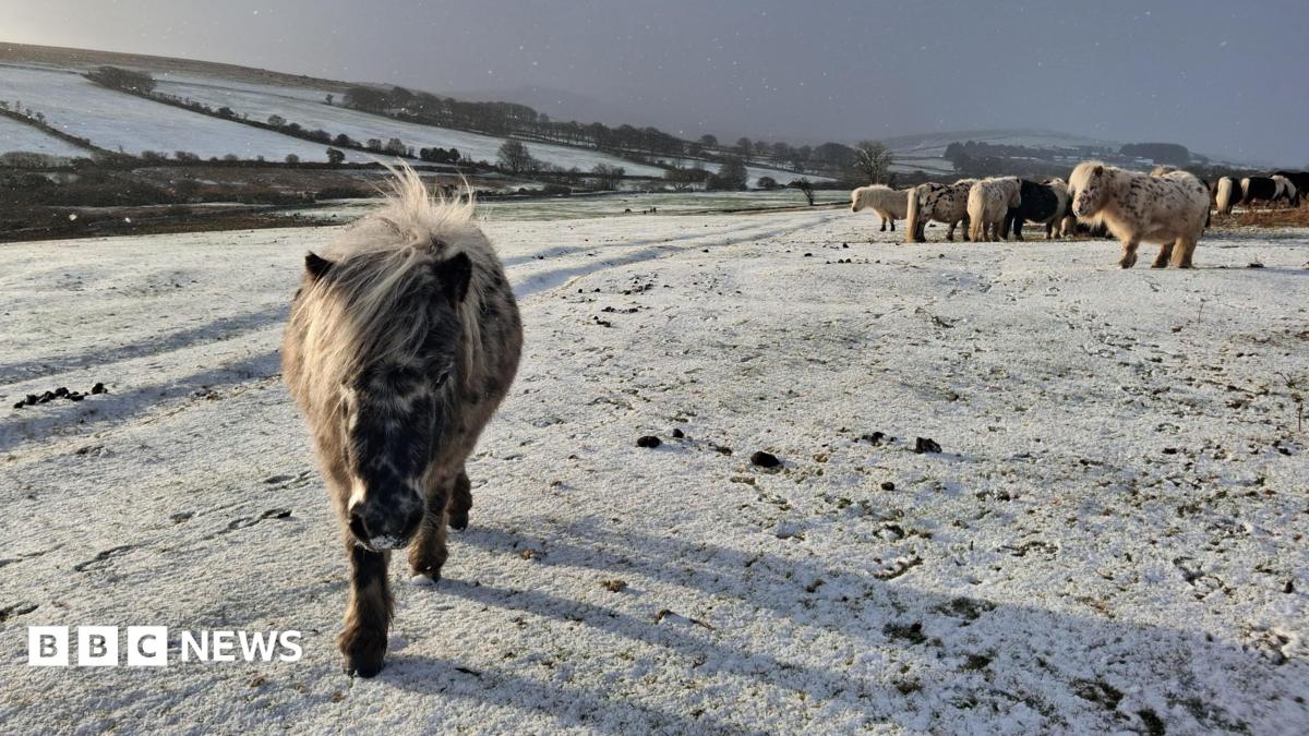 Snow and ice warnings for South West as snow falls in Devon - BBC News
