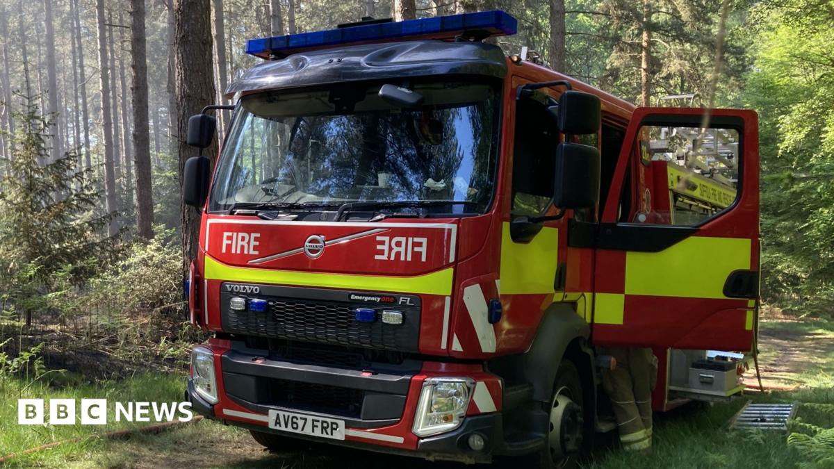 Thetford Forest fire tackled by crews close to A11 in Suffolk - BBC News