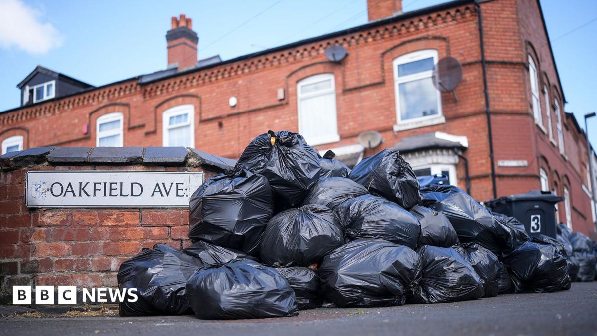 Birmingham bin strike reaches one-year mark with no end in sight - BBC News