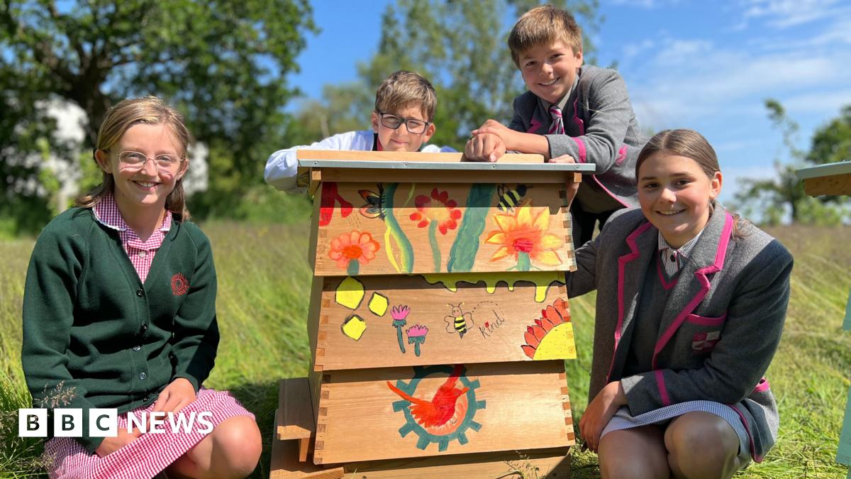 World Bee Day: Jersey schoolchildren make and launch beehives - BBC News
