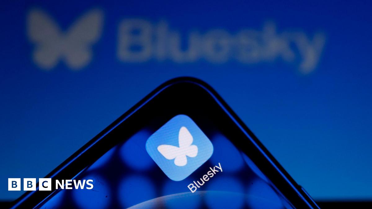 X users jump to Bluesky - but what is it and who owns it? - BBC News