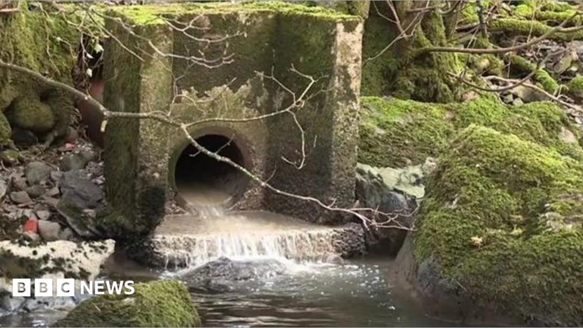Water works 'significant source' of River Kent pollution - BBC News