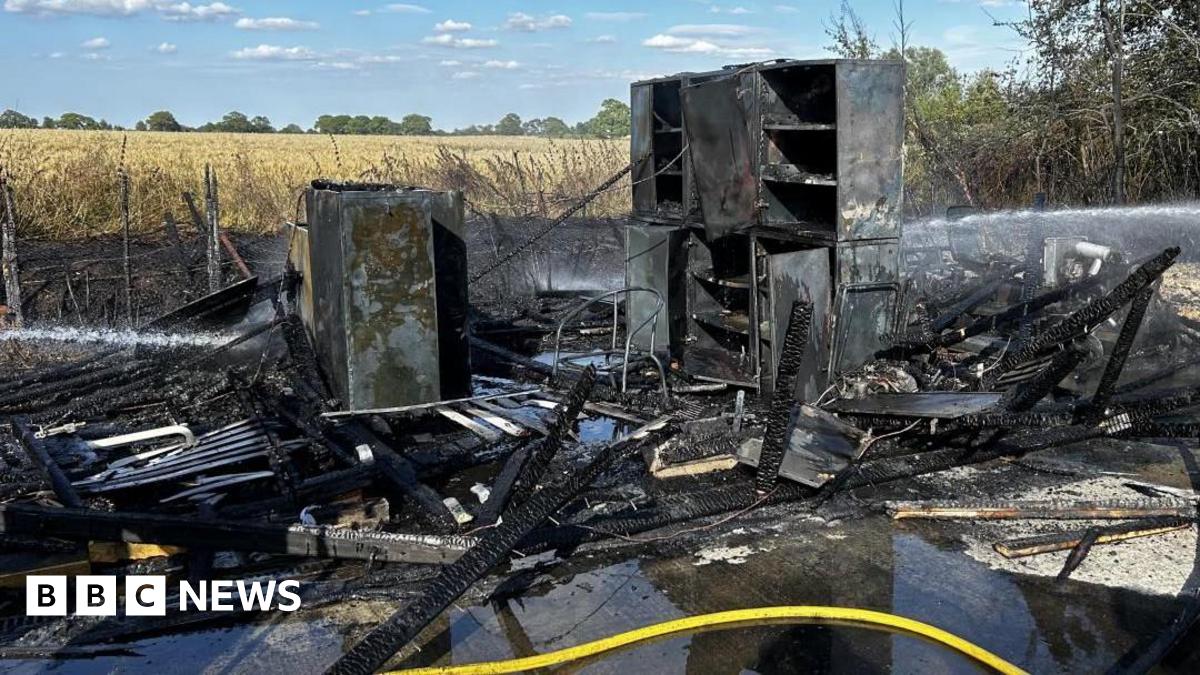 Horse dies in Harlow, Essex, after muck fire spreads to stables - BBC News