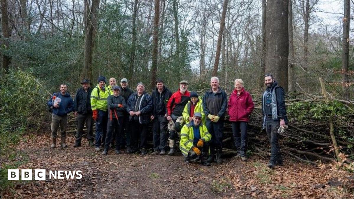 Community creates new natural barriers to protect Surrey Hills - BBC News
