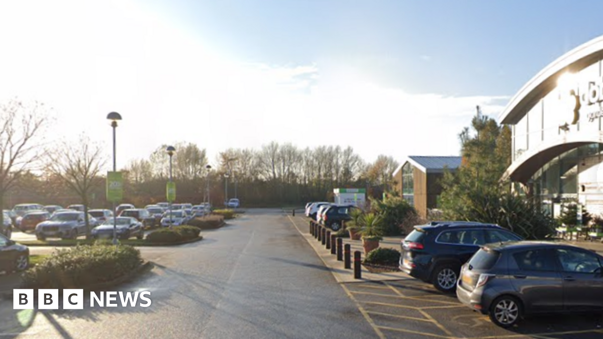 Dog attacks man who intervened to defend his pet in Southport - BBC News