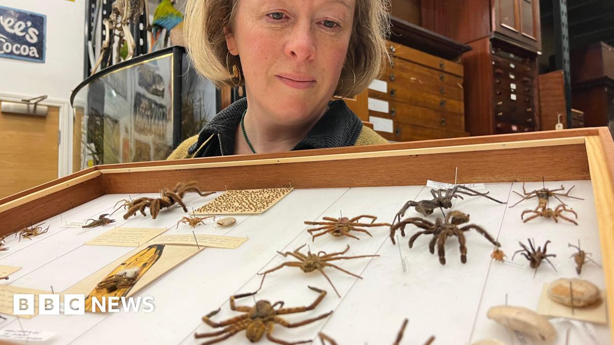 Cristina carmella hot pics text when I showed up and was