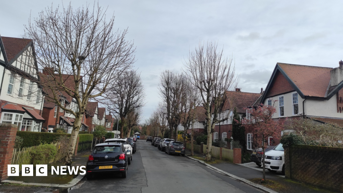 A number of at-risk Barrow trees allowed to remain in place - BBC News
