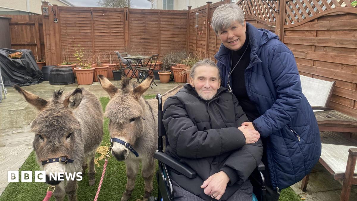 Mini donkeys make surprise visit to Warwickshire home of animal lover ...