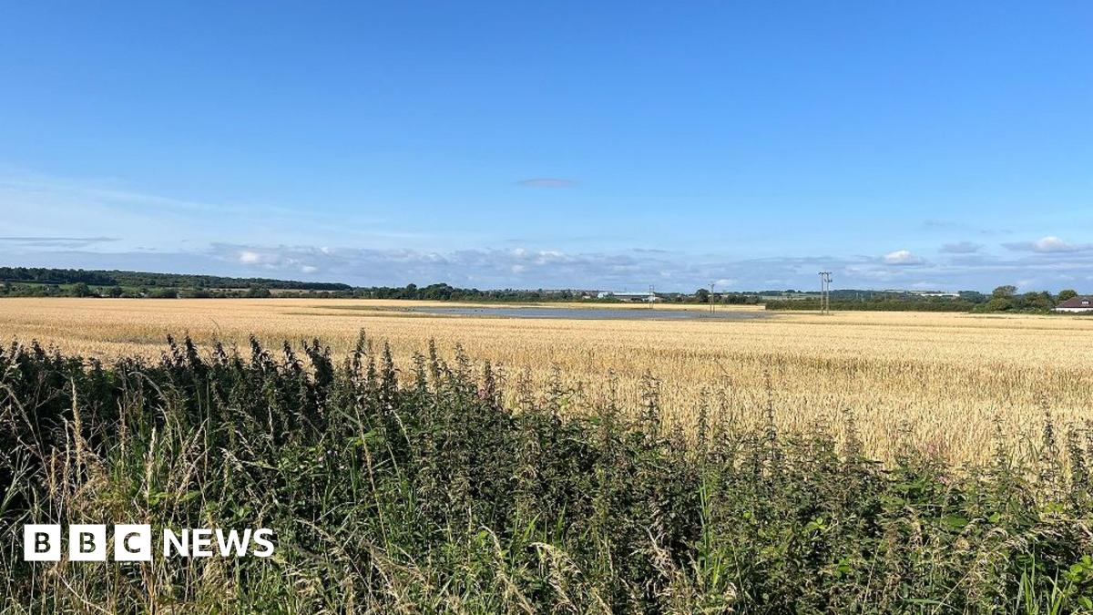 Campaigners continue attempts to block Sunderland AFC solar farm - BBC News