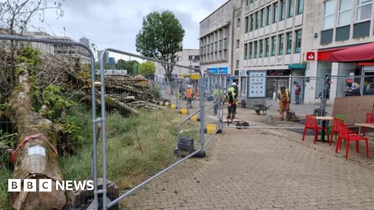 Armada Way: Felled trees could be removed by end of August - BBC News