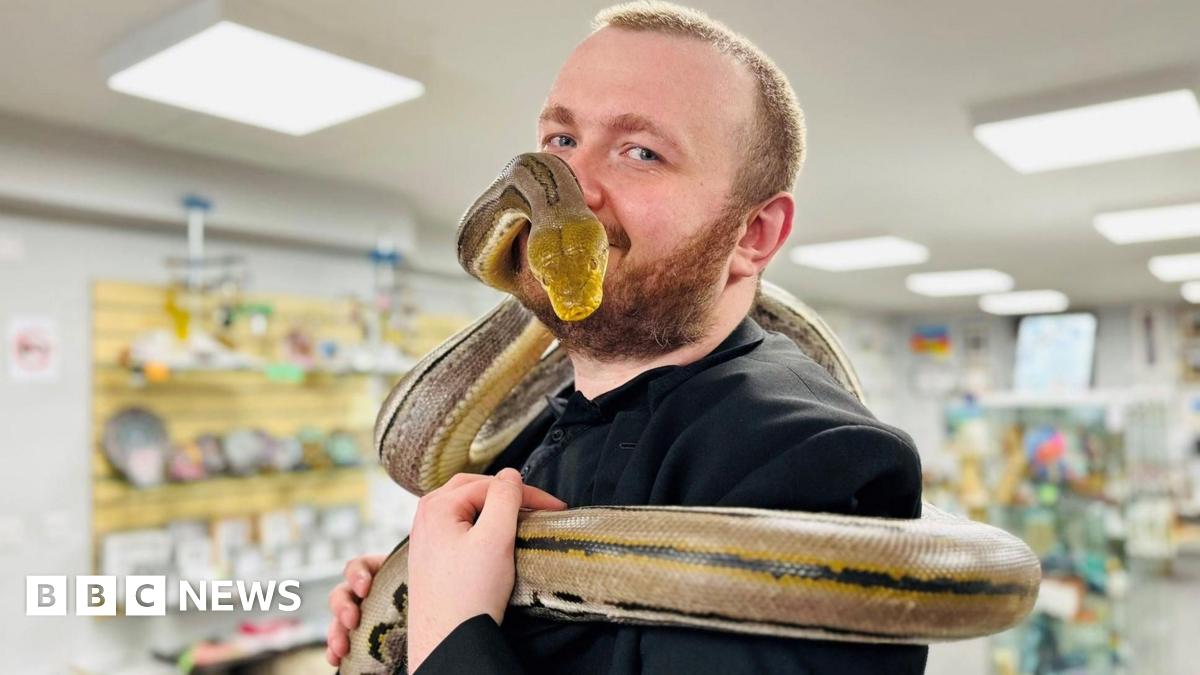 Pet python found after escape into Banchory art gallery - BBC News