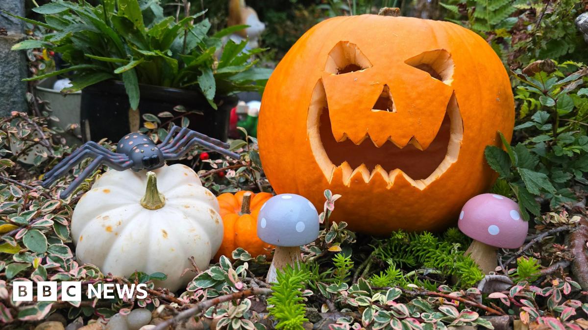 Your photos across the West Midlands: Pumpkins, poppies and paths - BBC ...