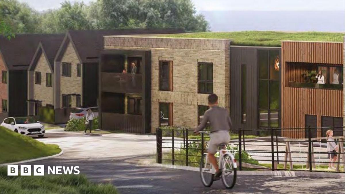 Torbay housing plans fail to address local needs - councillor - BBC News