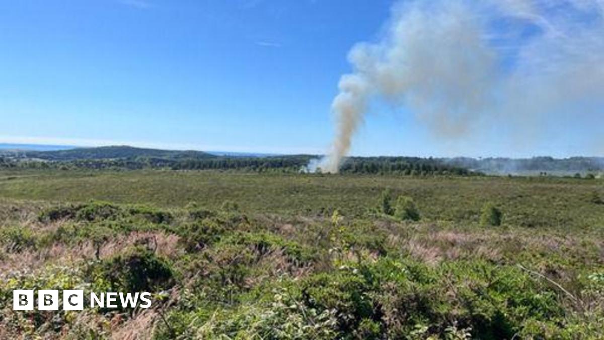 Firefighters put out heath fire at Exmouth in Devon - BBC News