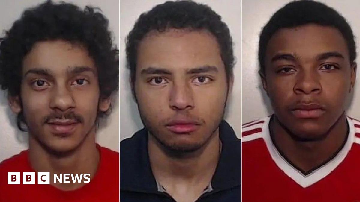 Three men convicted of murder on 'gang narrative' win appeal hearing ...