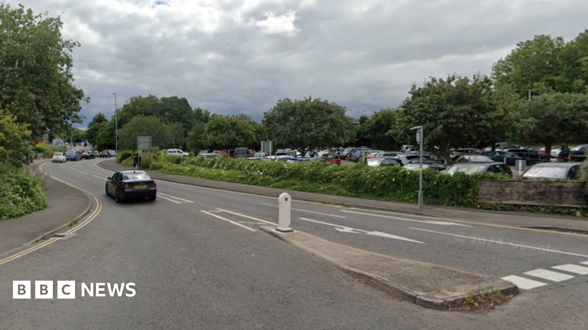 Trowbridge Carnival arrest after man 'drove at crowd' - BBC News