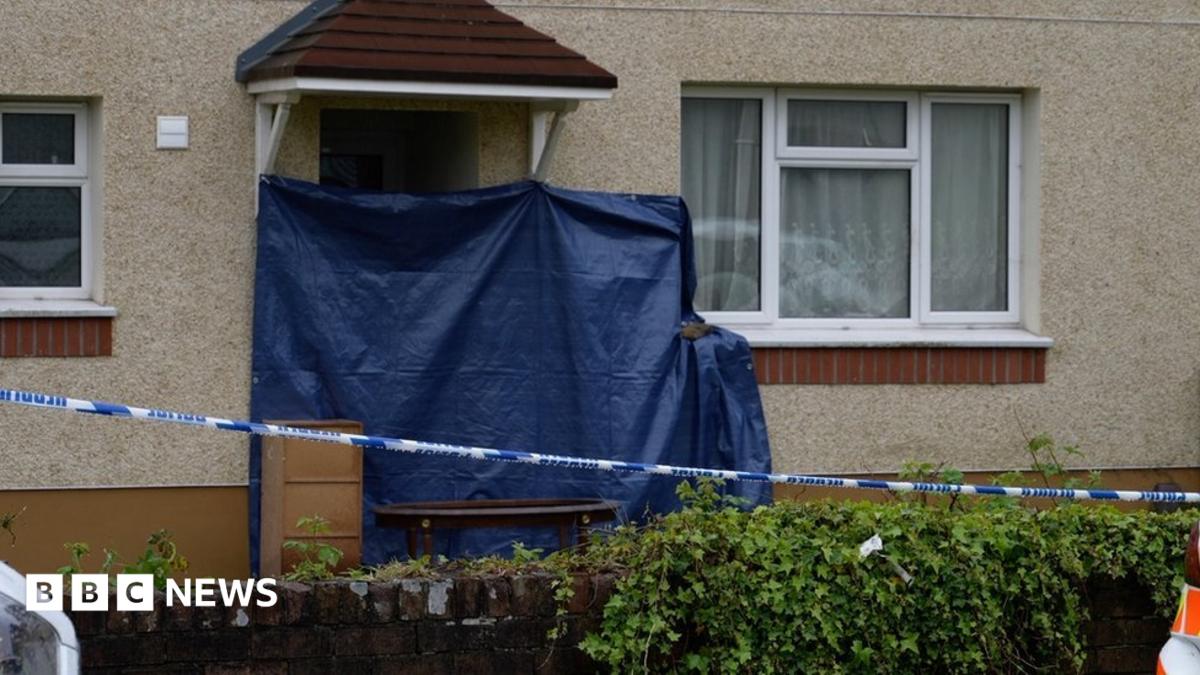 Timothy Dundon: Caewern m﻿an admits manslaughter of 66-year-old - BBC News