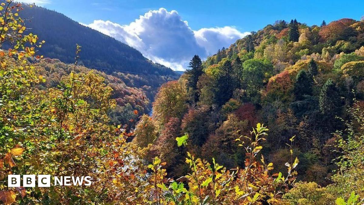 Your pictures of Scotland: Photographs from around the country - BBC News