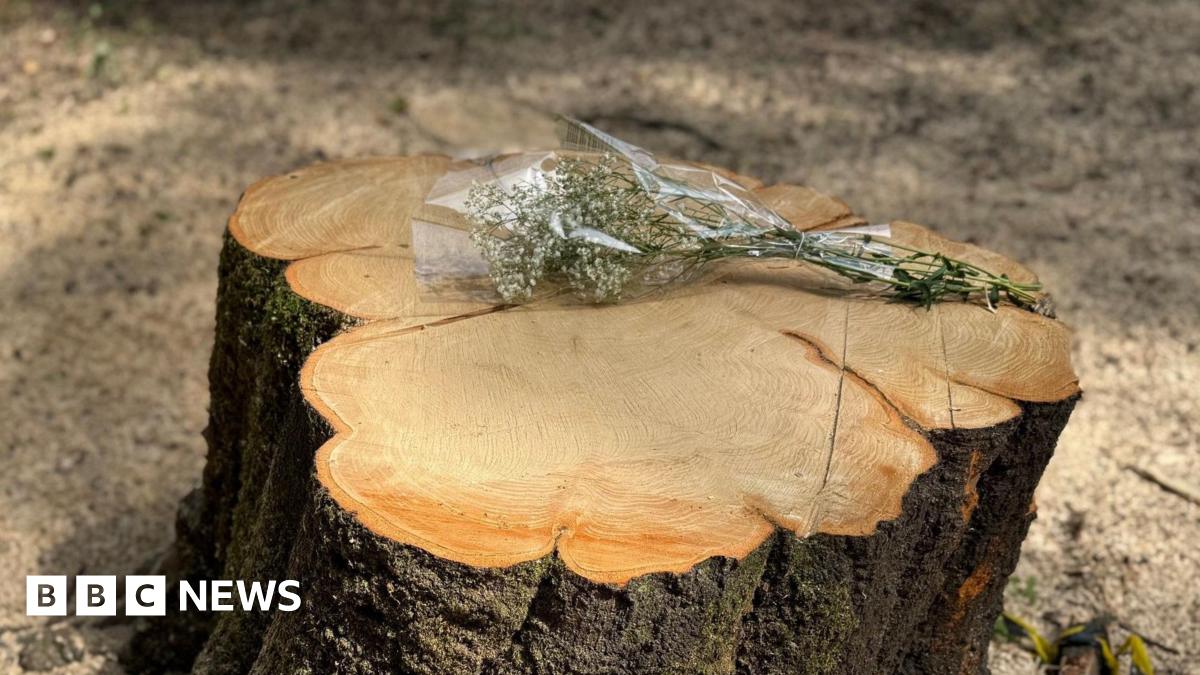 Flowers left for woman killed by tree branch in Blackburn park - BBC News