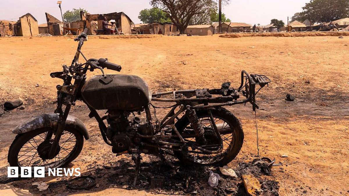 Gang raids in Nigerian villages leave dozens killed - BBC News