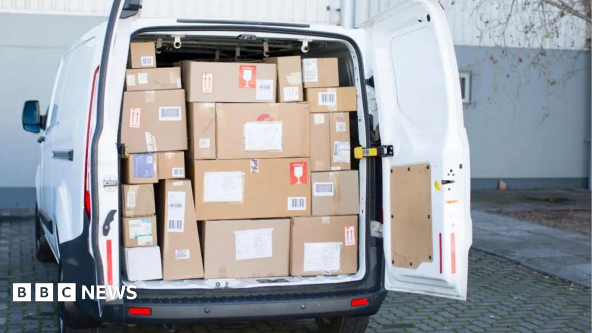 Windsor Framework: Some customs processes have been delayed - BBC News