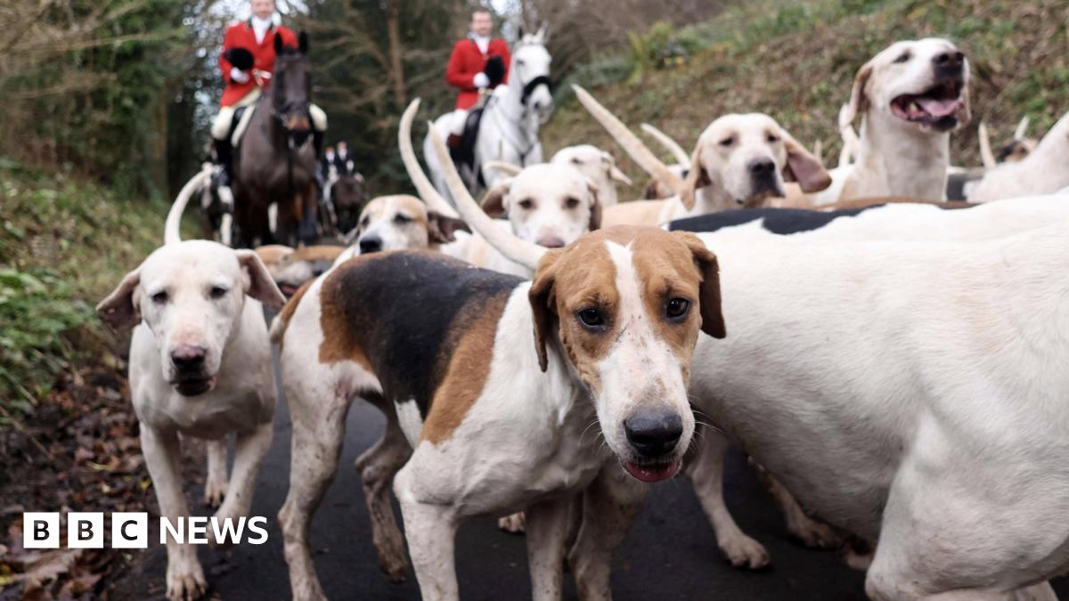 Hunters to battle government over proposed trail hunting ban - BBC News