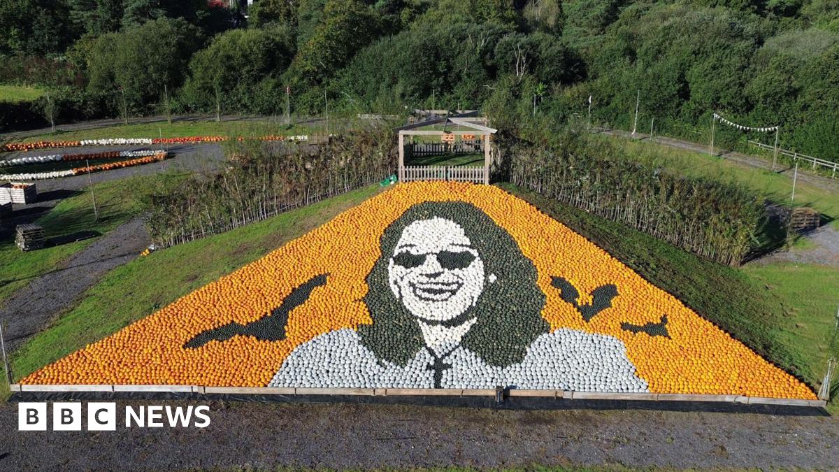 Ozzy Osbourne pumpkin mosaic created by farm in Totton - BBC News