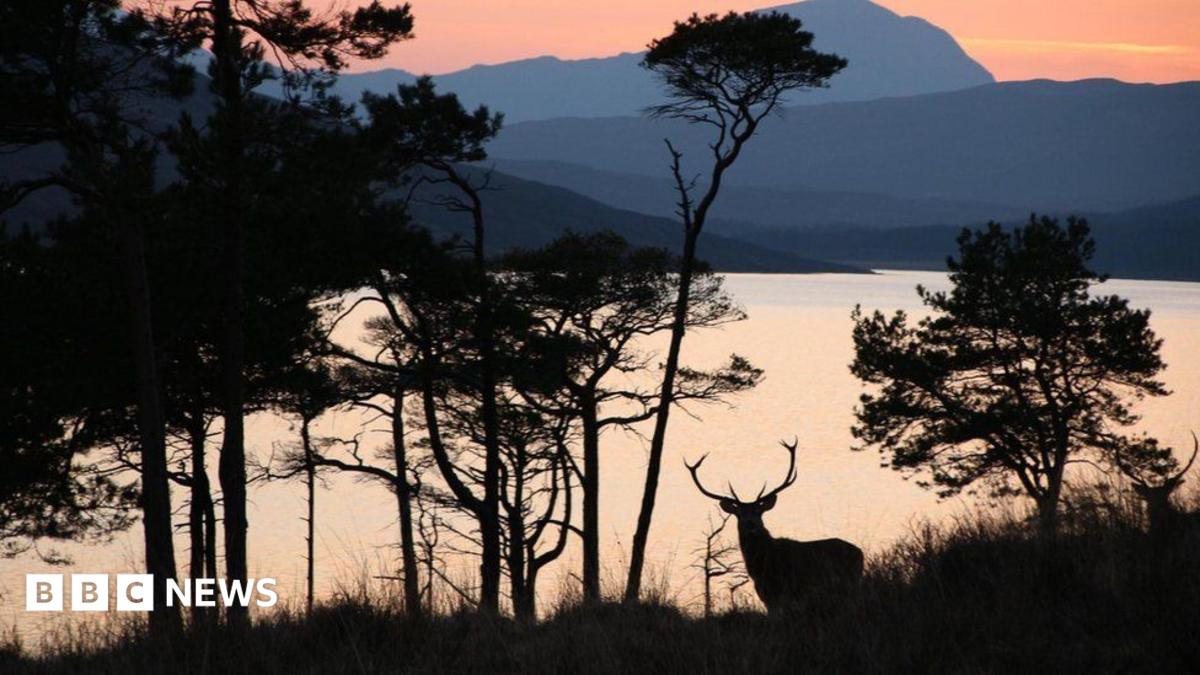 Your pictures of Scotland: Photographs from around the country - BBC News