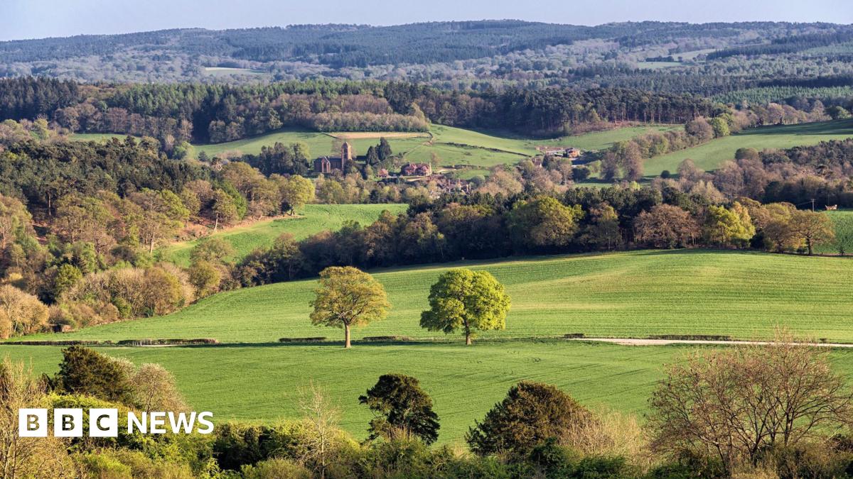Surrey County Council approves reorganisation plans - BBC News