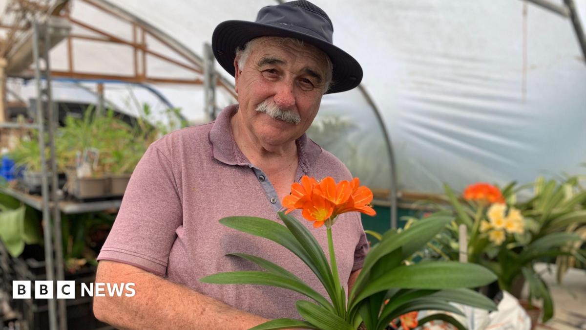How a 'Barnsley lad' set his sights on Chelsea Flower Show gold - BBC News