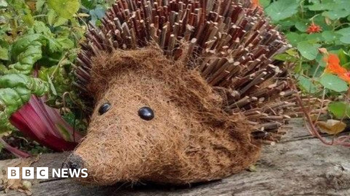 New addition to Truro roundabout's giant hedgehog family - BBC News