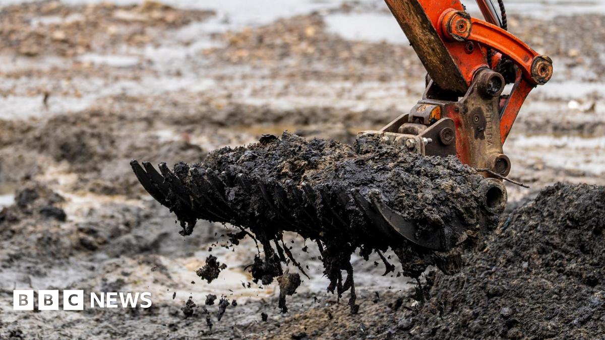 Hammersmith Bridge 'wet wipe island' cleared from Thames - BBC News