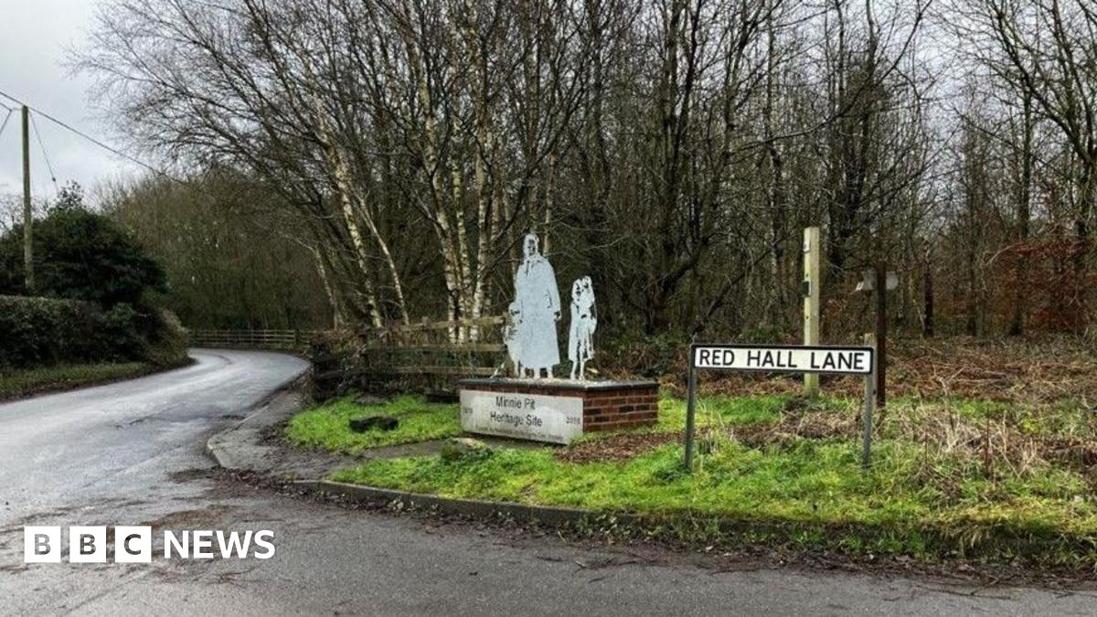 Sycamore Gap sapling destined for Minnie Pit memorial plot - BBC News