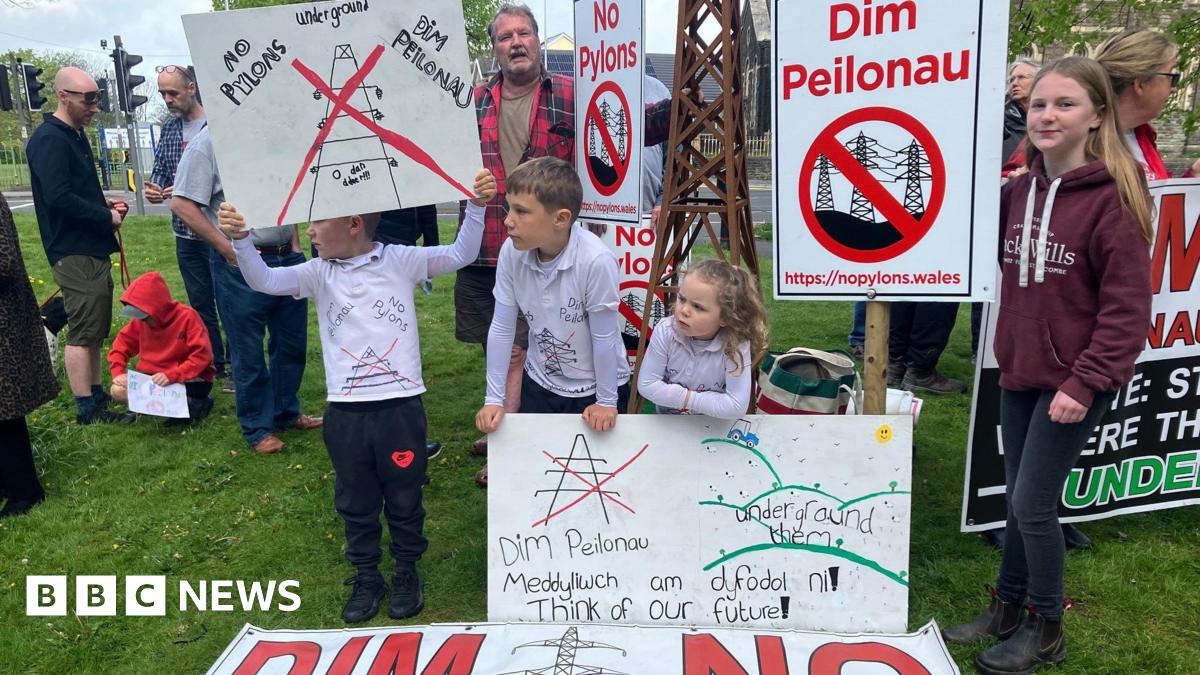 Pylon protesters agree land access for route after legal battle - BBC News