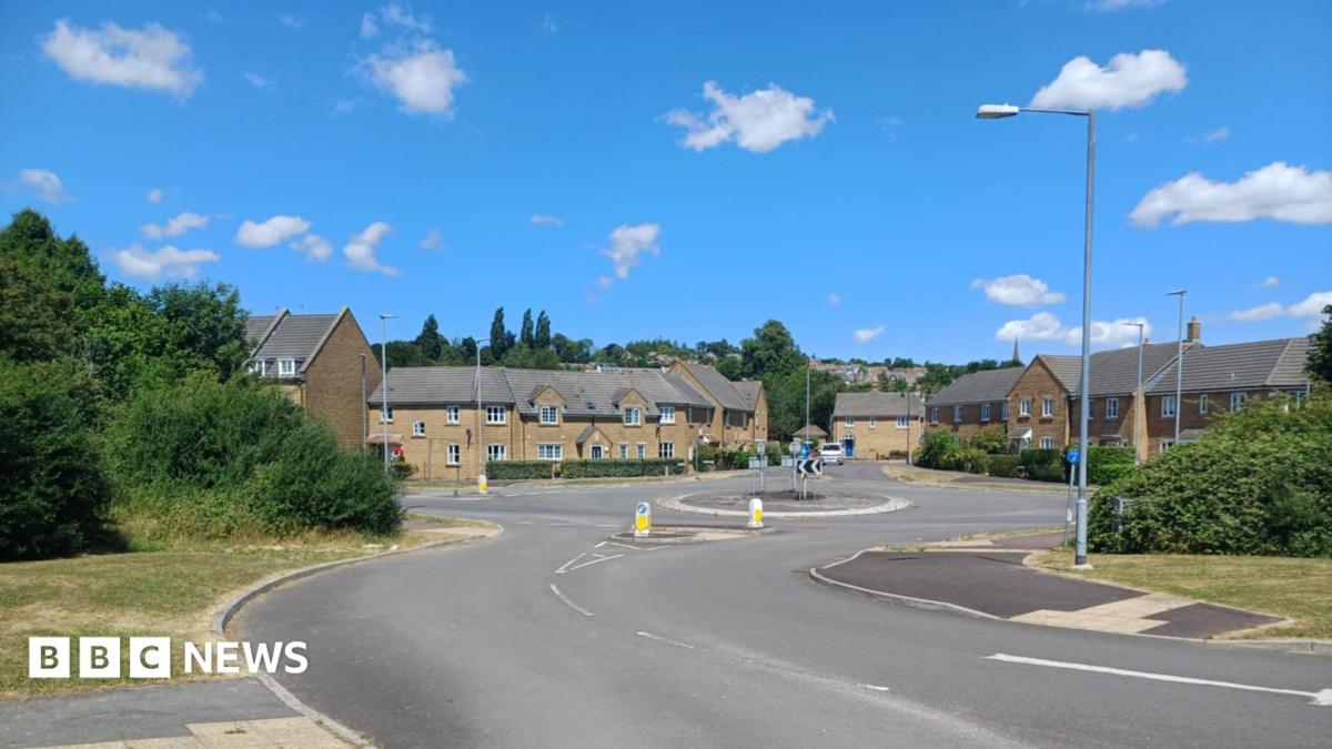 Developer given green light to remove hedgerows in Ilminster - BBC News