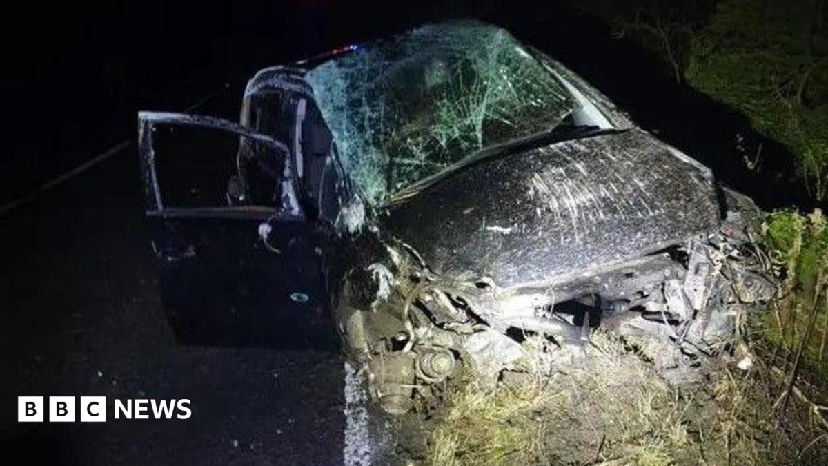 Wigton tree-crash driver avoids serious injury - BBC News