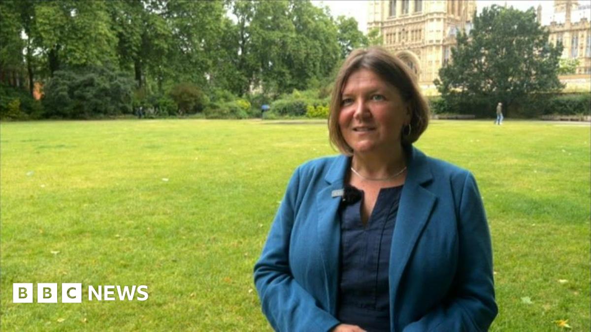 New Green MP: 'I cannot wait to get to work' - BBC News
