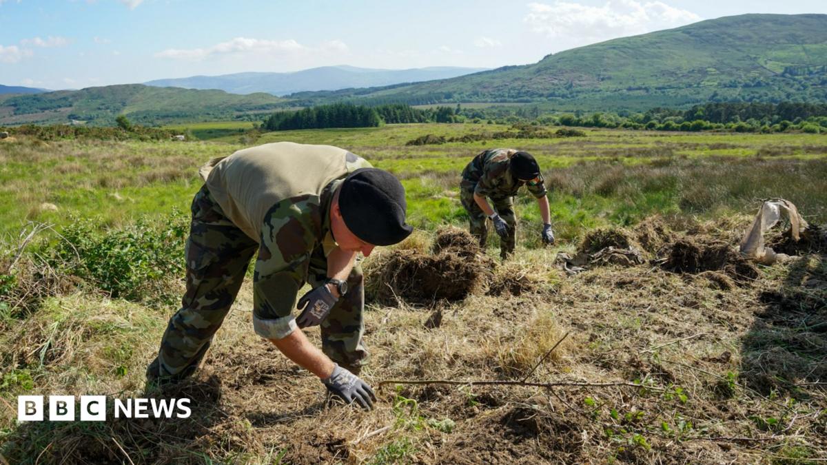 Searches ongoing at County Kerry farm where human remains were found ...