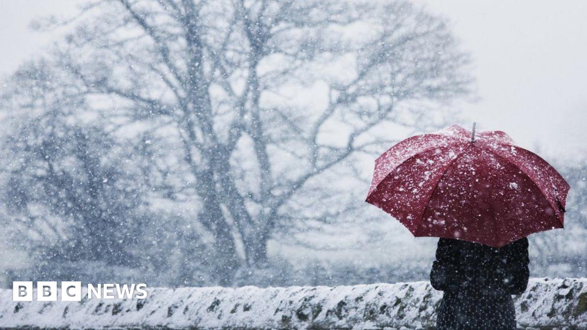 How do cold health alerts work and what do the different levels mean ...
