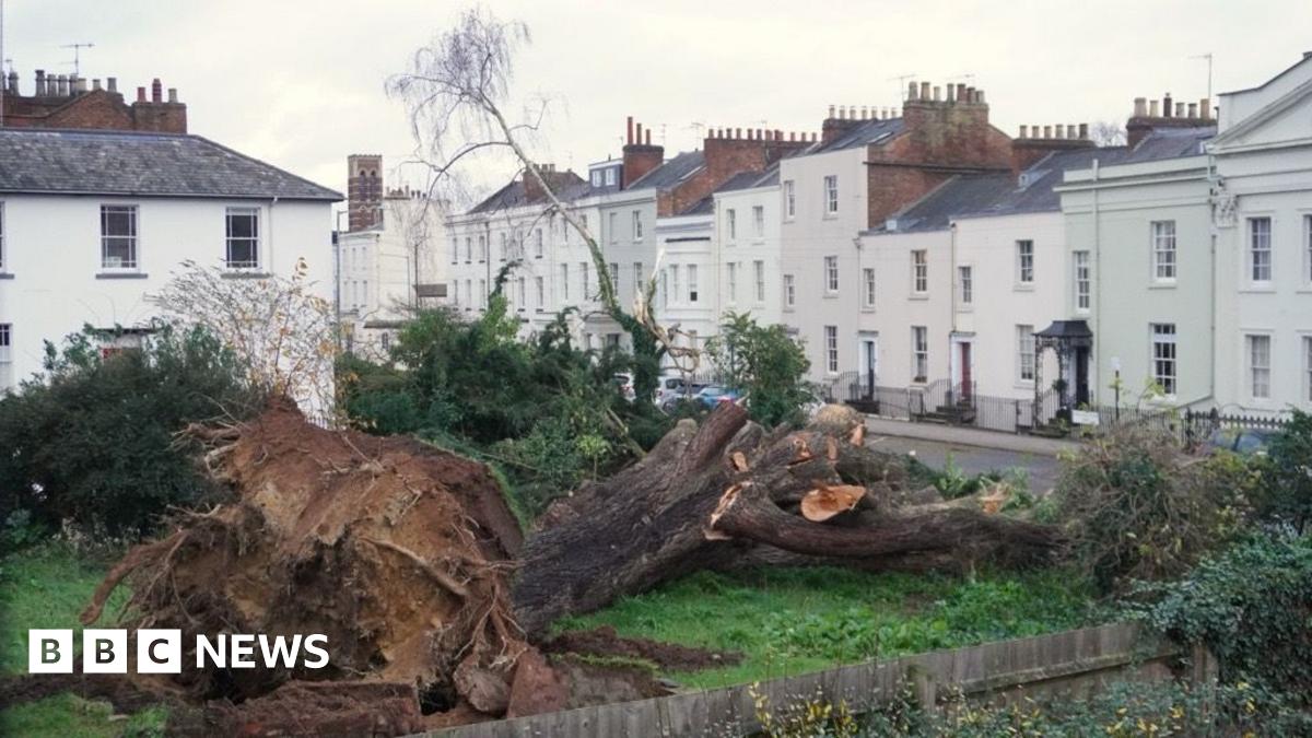 Man 'seriously hurt' by falling tree after storms batter West Midlands ...