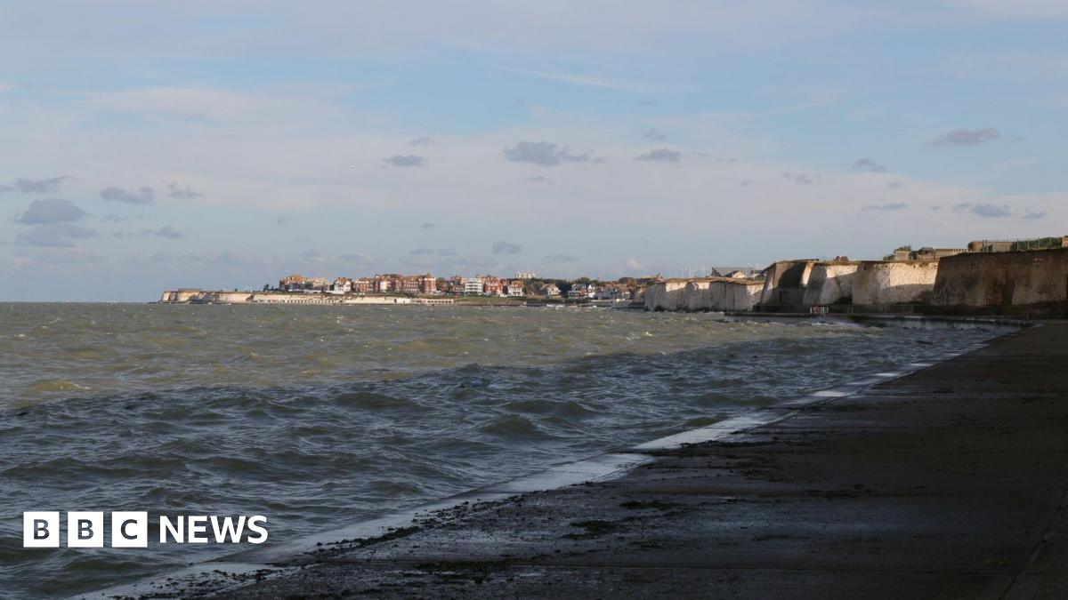 Minnis Bay: Pollution alert after reports of dead marine life - BBC News