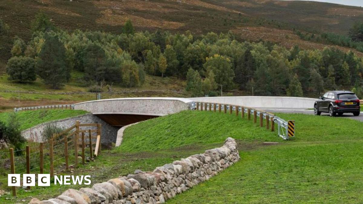 Deeside bridge bolt thieves branded reckless by police - BBC News