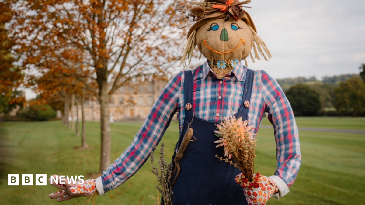 Wiltshire in pictures: Meet the Longleat scarecrows - BBC News