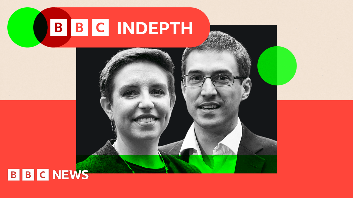 Green Party manifesto 2024: Key policies analysed - BBC News