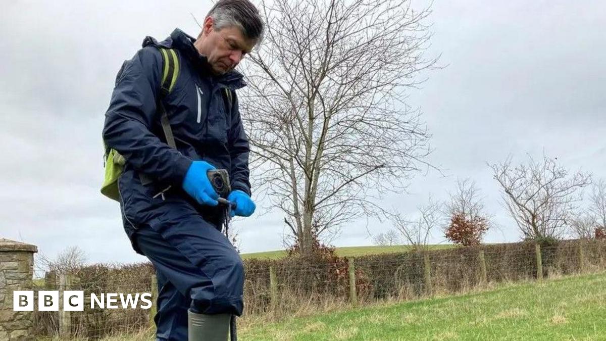 Northern Ireland farming: Half of fields tested in soil scheme - BBC News