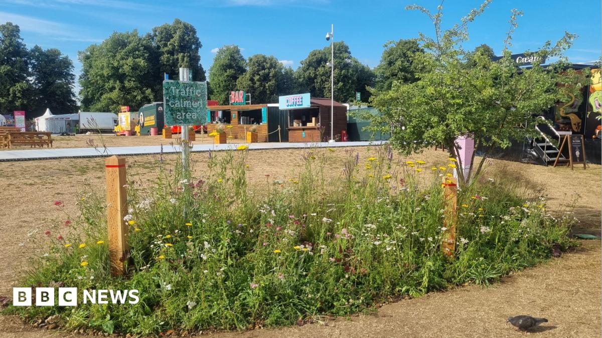 Award-winning Sussex garden receives new home in Lewes - BBC News