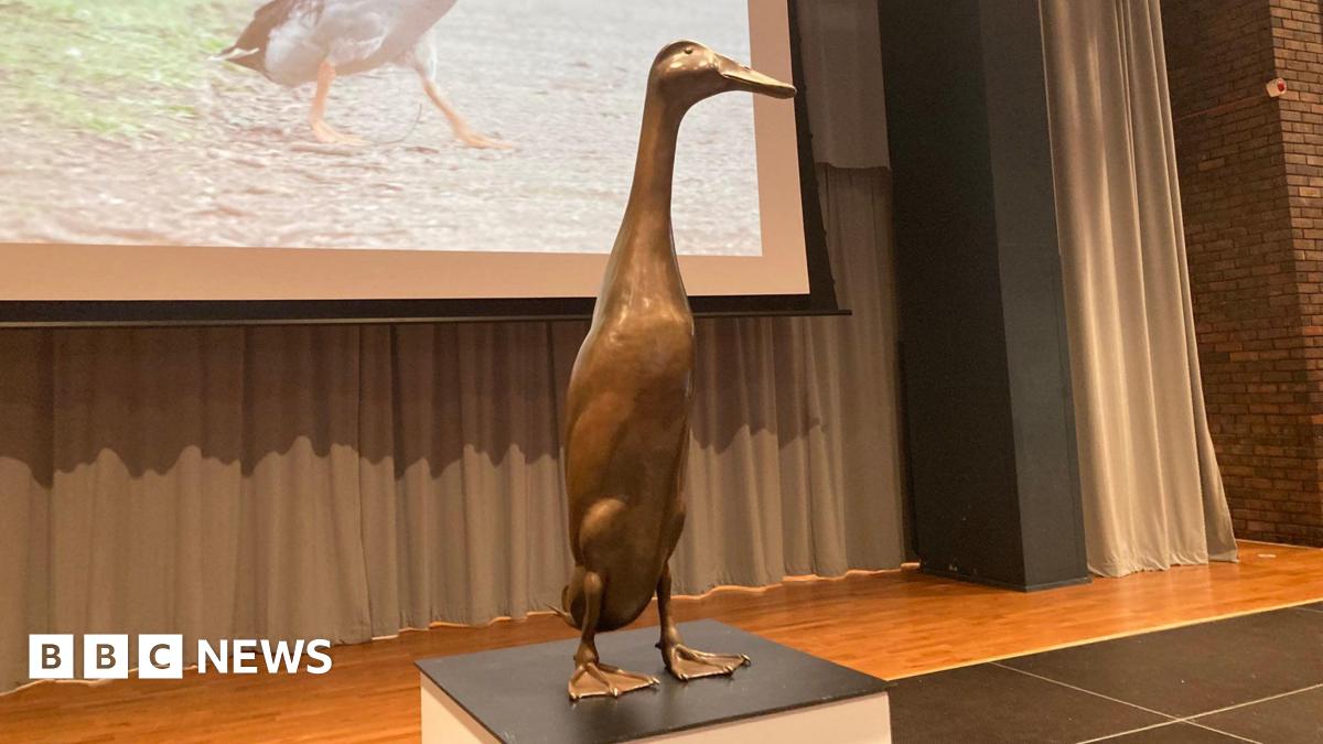 Long Boi: Statue of missing York duck unveiled live on BBC Radio 1 ...