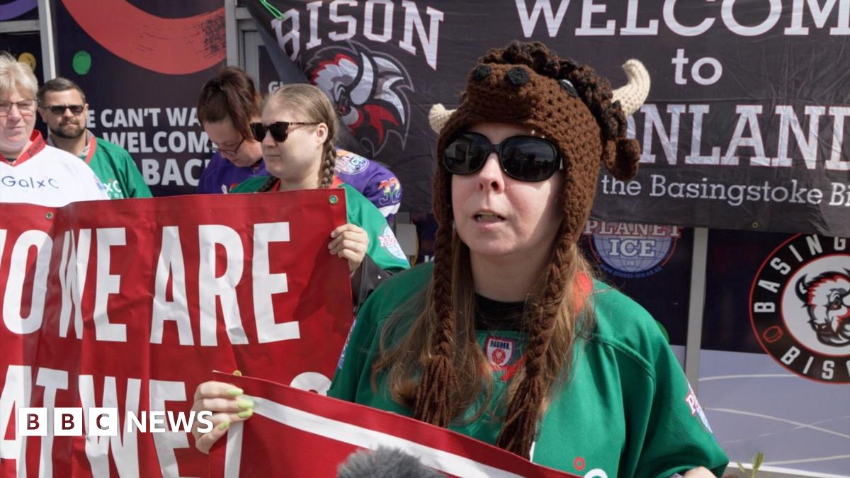 Basingstoke Bison set to return to ice but Bees pause playing - BBC News